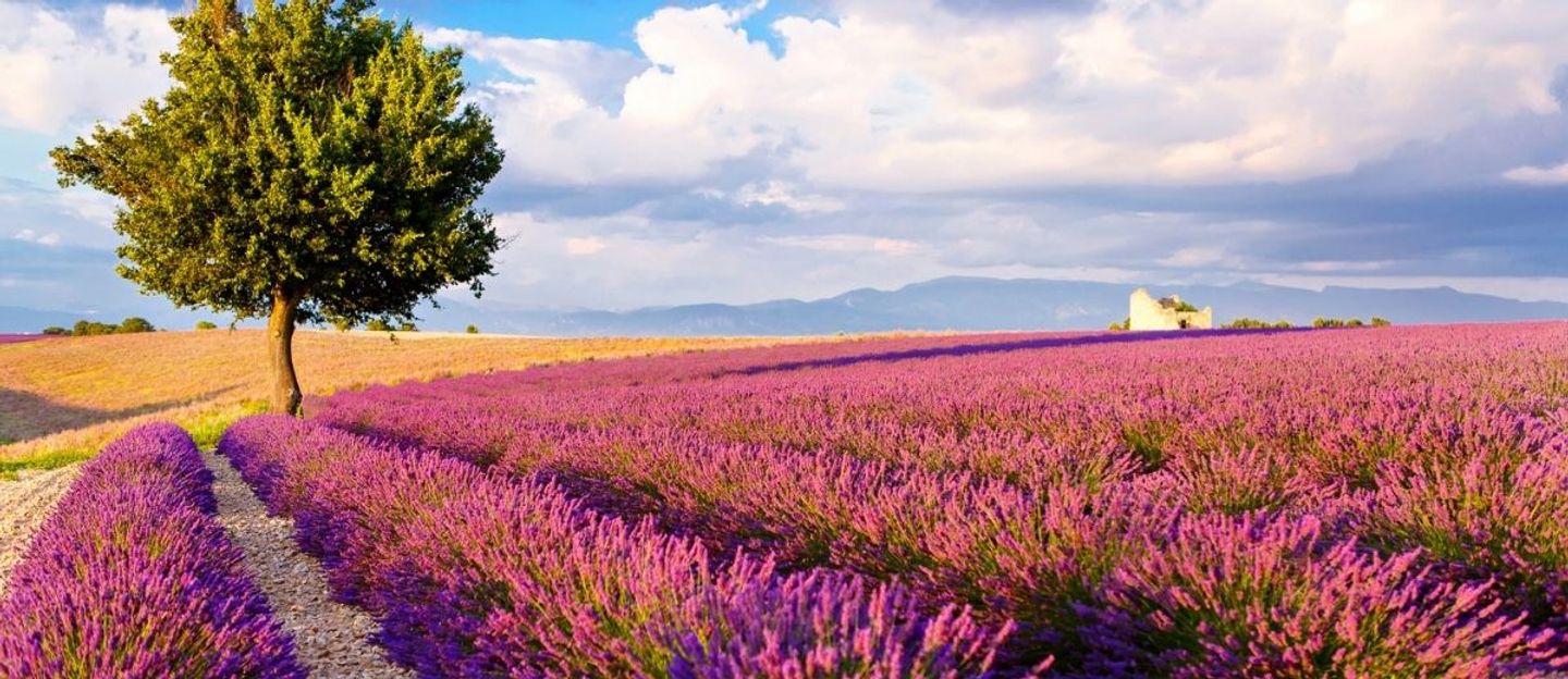 The 7 Best Places to Visit in Provence in Summer | Oliver's Travels