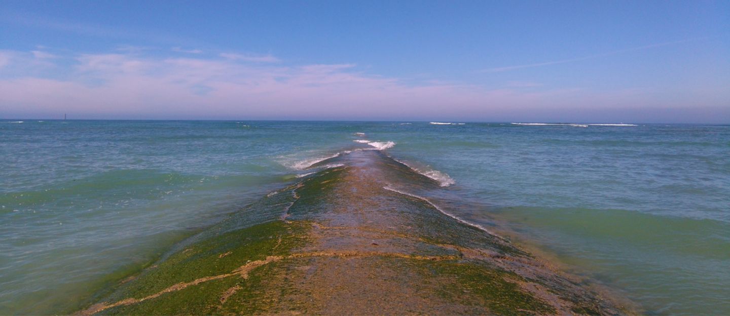 The Very Best Île de Ré beaches | Oliver's Travels