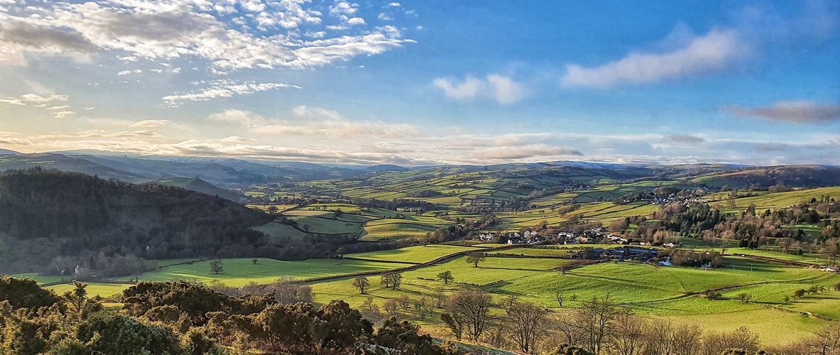 Celebrating the UK's Most Popular Parks | Oliver's Travels