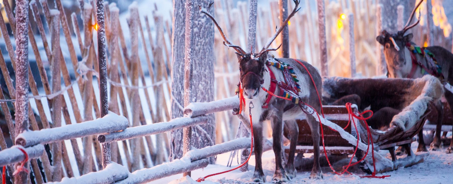 Best Things to do in Lapland - What to See, Do and Eat | Oliver's Travels