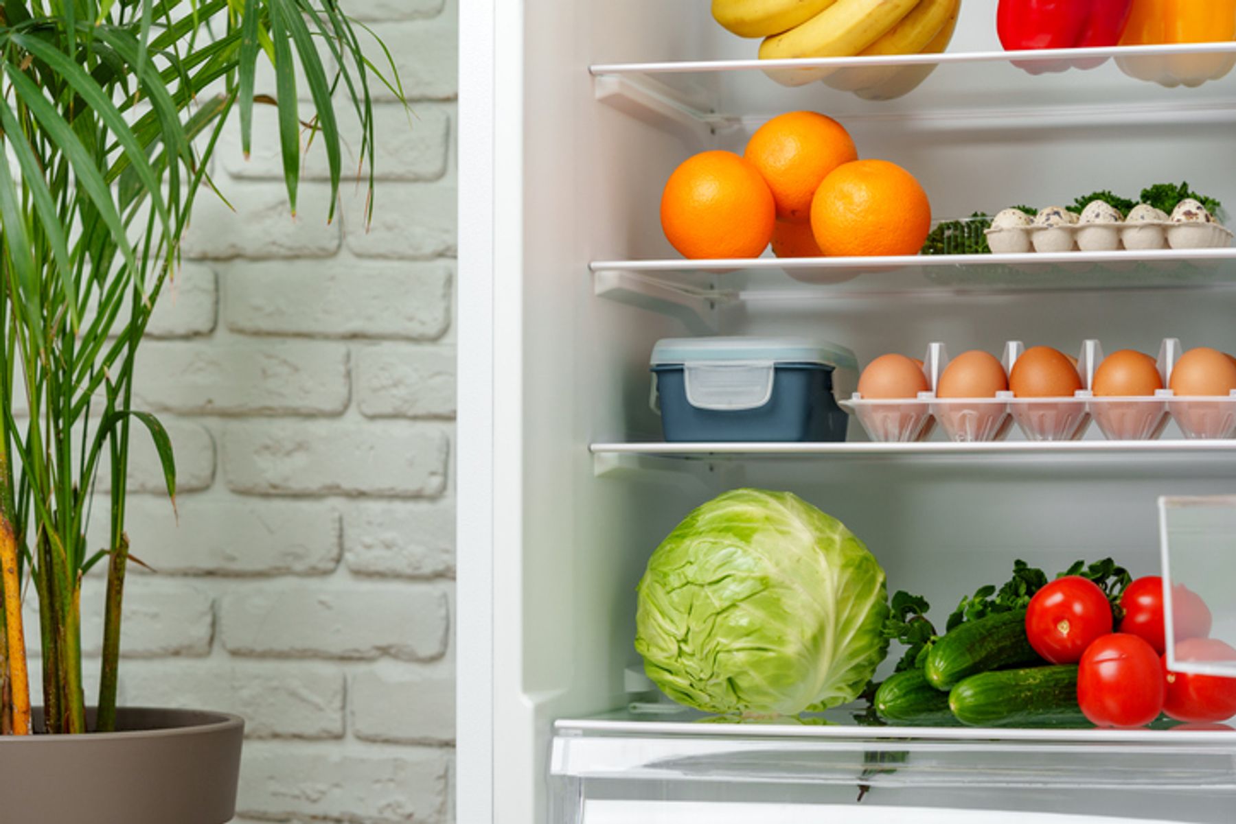 Fridge Stocking Concierge Service | Oliver's Travels
